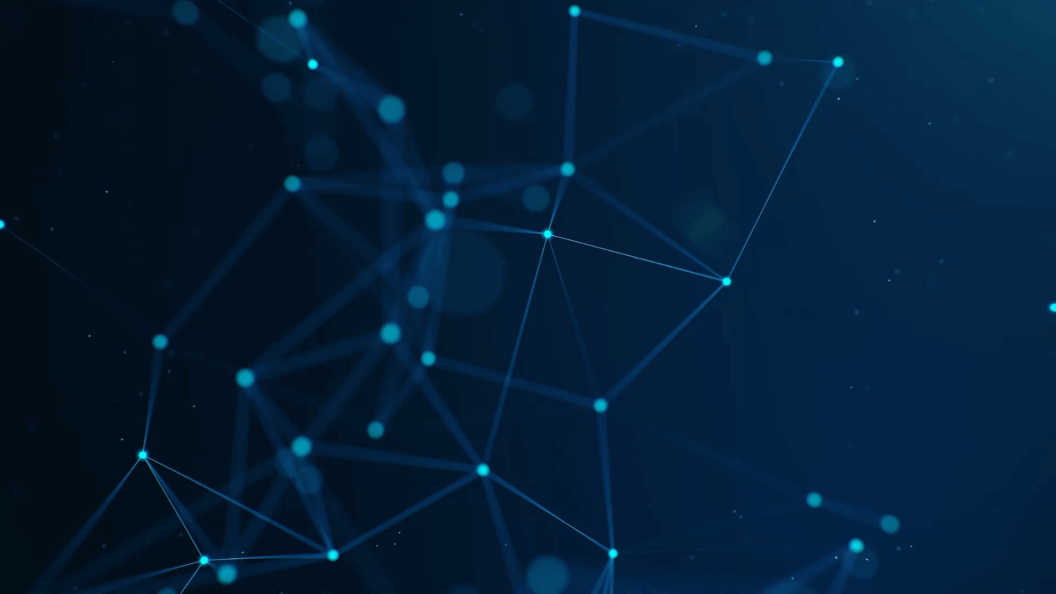 Insights - WellStack