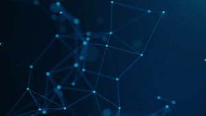 Insights - wellstack
